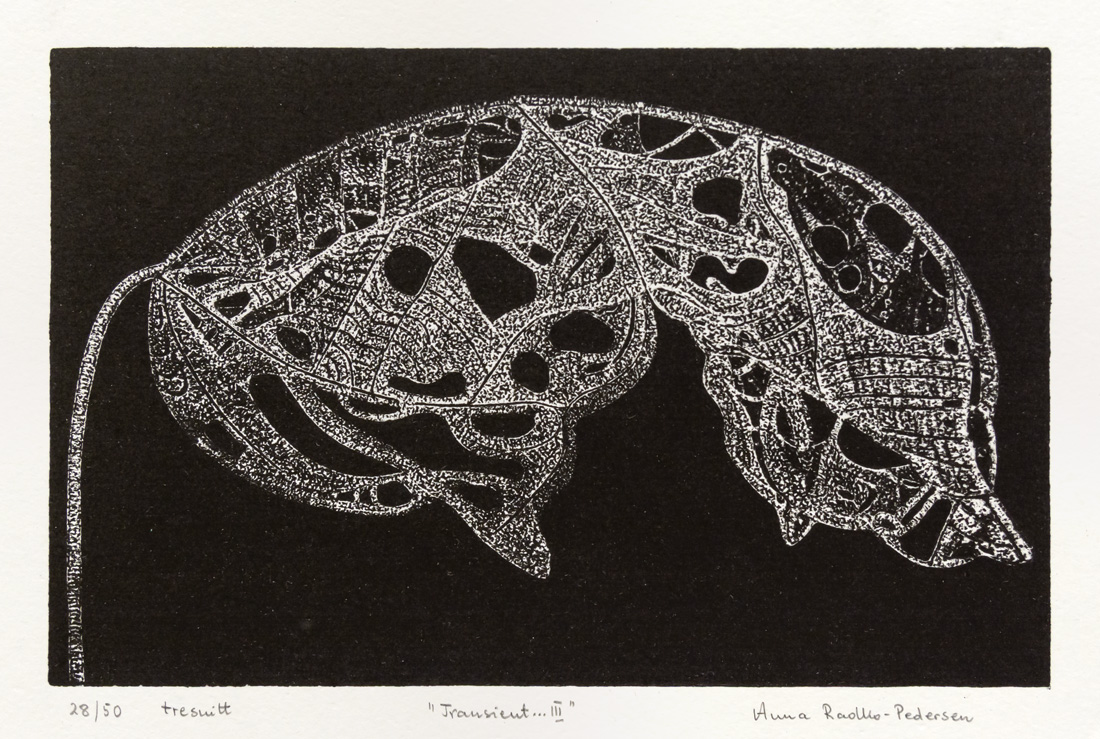 Anna Radko Pedersen – Transient…III – Norske Grafikere
